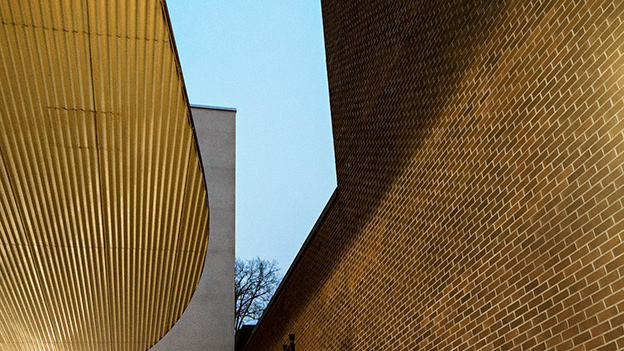 A Canopy, Two Buildings and a Tree | Something About Daily Life
