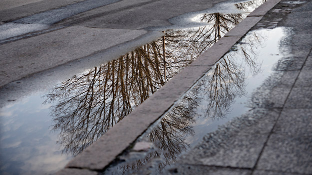 Reflection on the Puddle, Part Five | Something About Daily Life